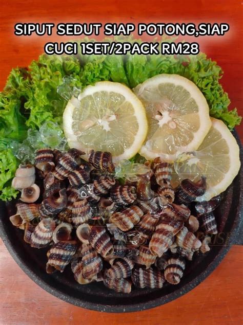 Siput Sedut Fresh 1kg Johor Bahru Food And Drinks Fresh Produce On Carousell