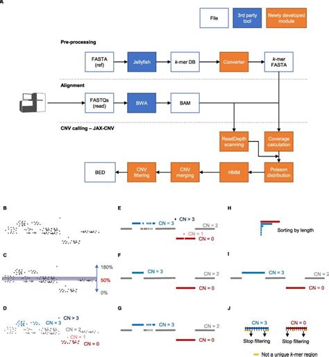 jax cnv a whole genome sequencing based algorithm for copy number