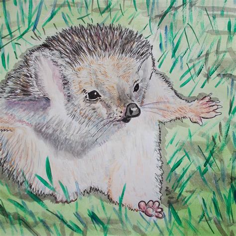 Картина «Прикольный ёжик Бумага Акварель 2019 г