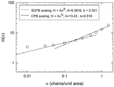 Self Assembly Of Y Shaped Polymer Brushes With Low Poly Dispersity