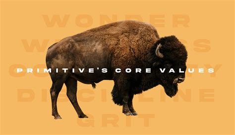 Primitives Core Values