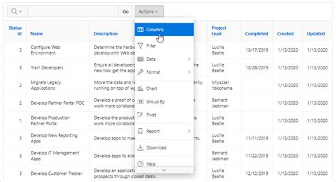 Customizing Interactive Reports In A Running Application