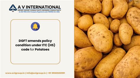 Dgft Amends Policy Condition Under Itc Hs Code For Potatoes