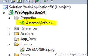 Specifying Assembly Information In Visual Studio Daily NET Tips