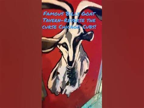 Check Out The Famous Billy Goat Tavern Reverse The Curse—chicago Cubs