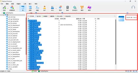 SpringBoot整合Activiti 工作流引擎 程长新 博客园
