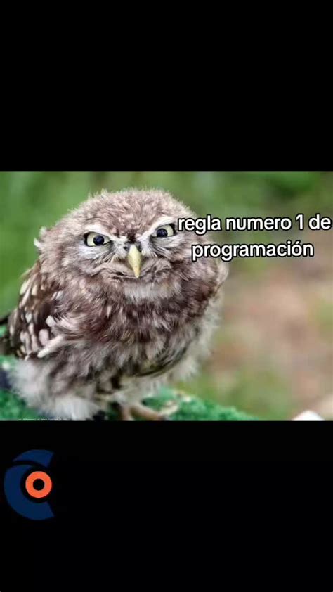 Codelabenterprise Codelabenterprise • Instagram Photos And Videos