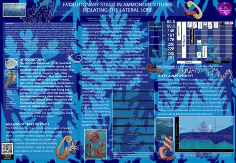 Pdf Evolutionary Stasis In Ammonoid Sutures Isolating The Lateral Lobe