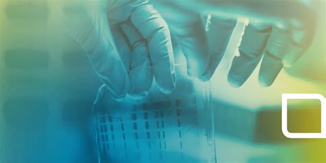 Biologics Analysis Workflow™ Delivering Increased Throughput