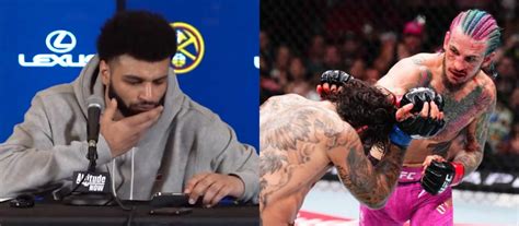 Video Nba Star Jamal Murray Goes Viral Watching Ufc 299 During His
