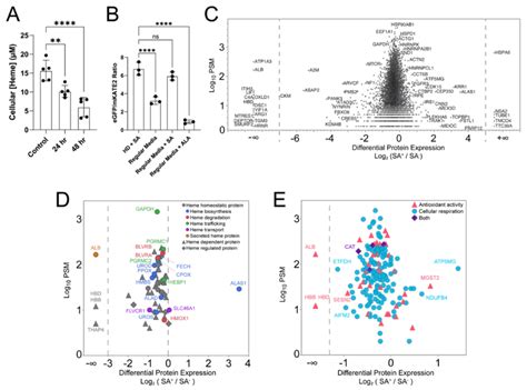 Heme Depletion Has A Minor Effect On Most But Not All Proteins In The Download Scientific