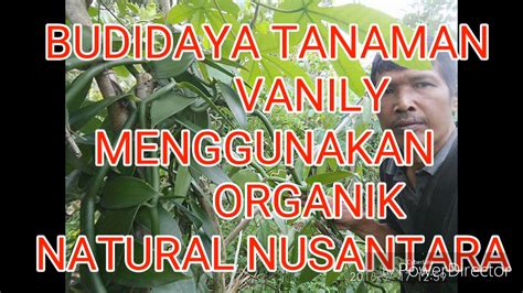 Budidaya Vanily Youtube