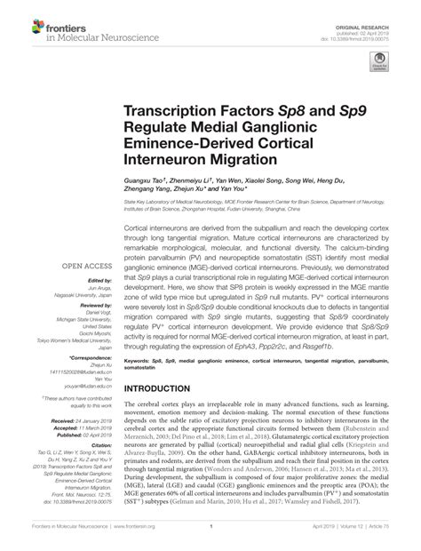 Pdf Transcription Factors Sp8 And Sp9 Regulate Medial Ganglionic Eminence Derived Cortical