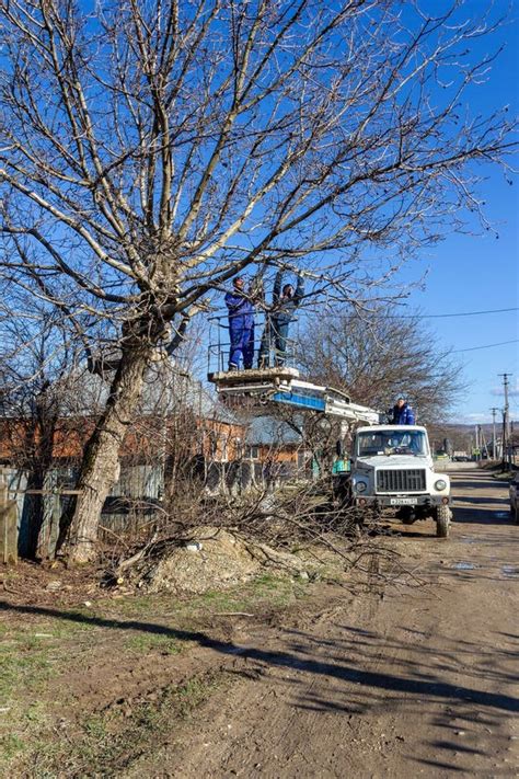 Tree Trimming Power Lines Stock Photos Free Royalty Free Stock Photos From Dreamstime
