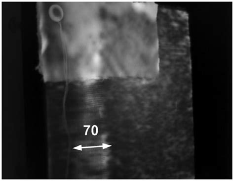 Specimen 7 Defect Measurements In Mm Download Scientific Diagram