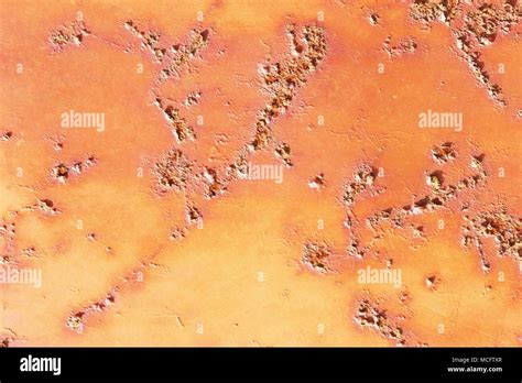 Rust Corrosion Texture Full Frame Image Background Stock Photo Alamy