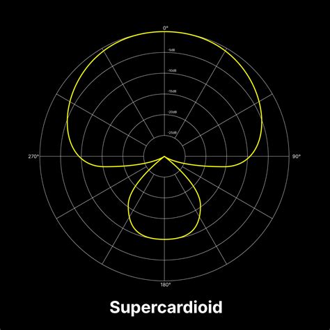 Bidirectional Polar Pattern