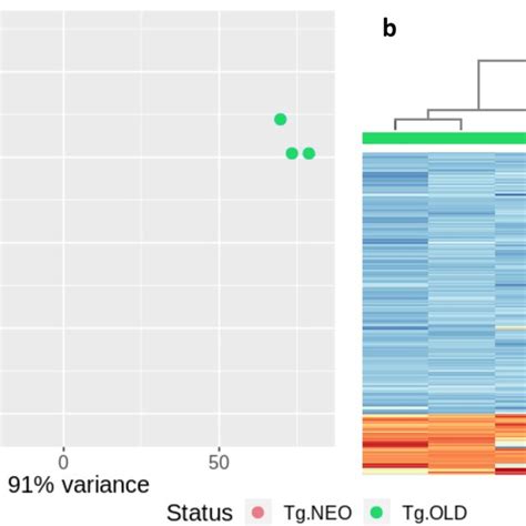 Multivariate Statistical Analysis Of Astrocyte Transcriptomes A Pca Download Scientific