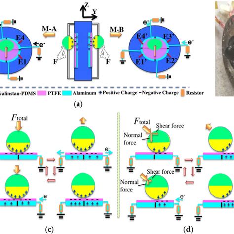 A The Symmetrical Structure Of The Self Powered Sensor B Photo Of Download Scientific