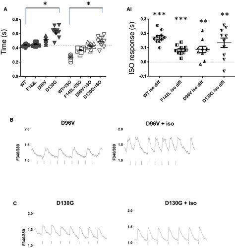 Arrhythmogenic Calmodulin Mutations Disrupt Intracellular Cardiomyocyte Ca2 Regulation By