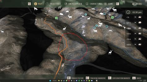 A Small Qol Request Clearer Region Borders Rwayofthehunter