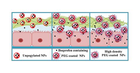 Pegylated Polyaspartamidepolylactide Based Nanoparticles Penetrating