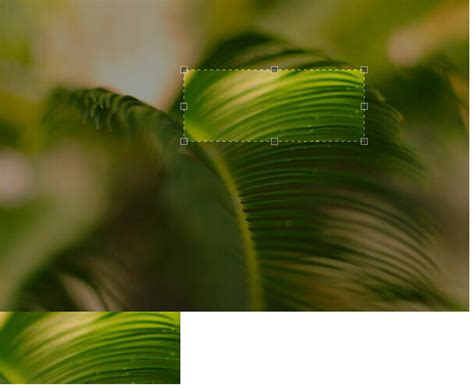 Jquery 图片剪裁插件初探之 Jcrop Nemo20 博客园