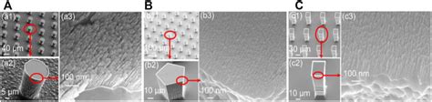Bio Inspired Hierarchical Micronanostructured Surfaces For Superhydrophobic And Anti Ice