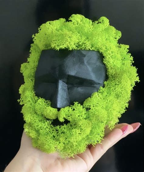 Кашпо з мохом — ціна 250 грн у каталозі Кашпо Купити товари для дому та побуту за доступною