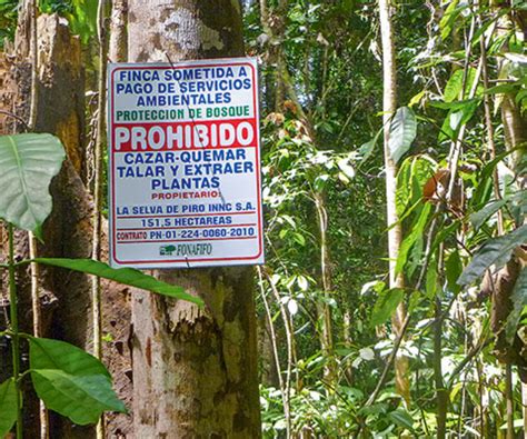 El Que Contamina Paga La Fórmula De Costa Rica Para Detener La