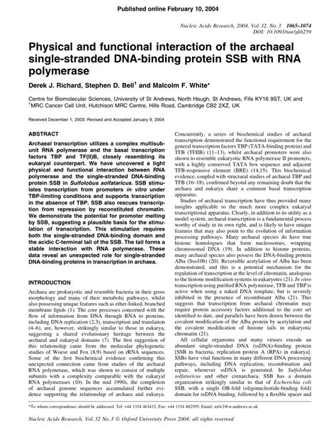 Pdf Physical And Functional Interaction Of The Archaeal Single