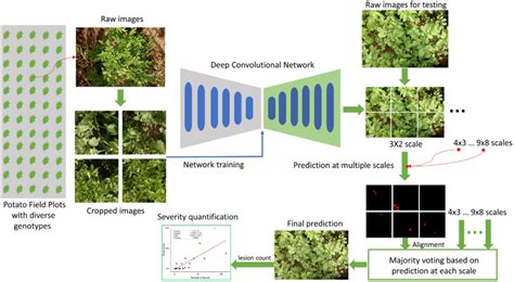 New Publication Automated Late Blight Lesion Detection In The Potato Field Nordplant