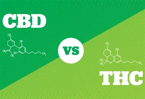Sativa Vs Indica Vs Hybrid A Guide To Cannabis Cultivars