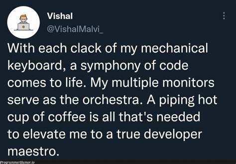 A True Developer Maestro ProgrammerHumor Io