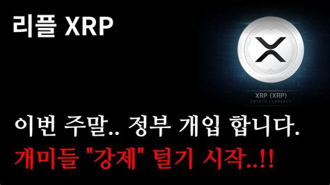 리플 Xrp 이번 주말 정부 개입합니다 개미 털기 계획 Youtube