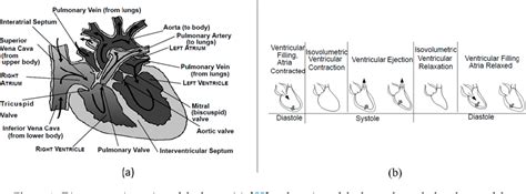 Figure 2 From Radar Based Non Contact Continuous Identity Authentication Semantic Scholar