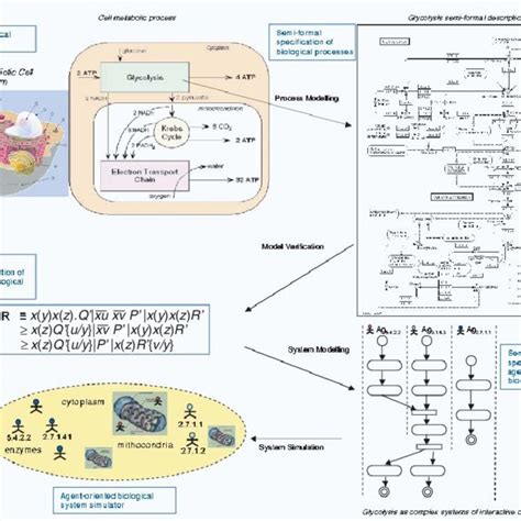 Engineering Biological System Simulation Download Scientific Diagram