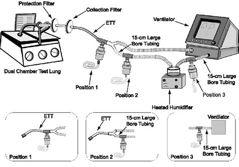 Setup Ipv Inline