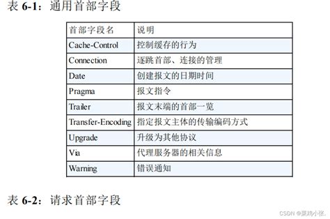 计算机网络的故事——首部
