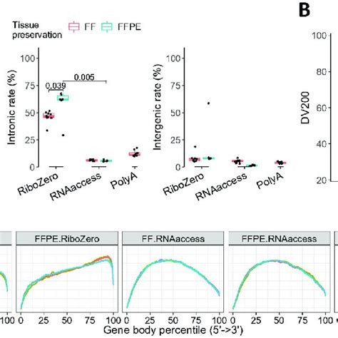 Rna Seq Data Quality Is Influenced By Both Dv200 And Rna Input Levels Download Scientific
