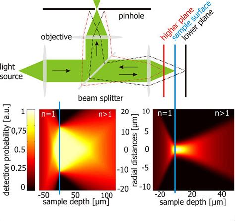 experimentally determined spatial detection profiles experimentally
