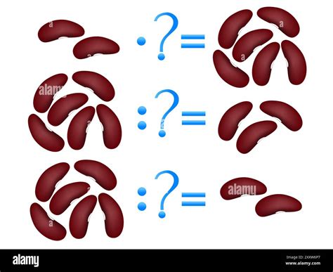 Action Relationship Of Division And Multiplication Examples With Beans Educational Game For