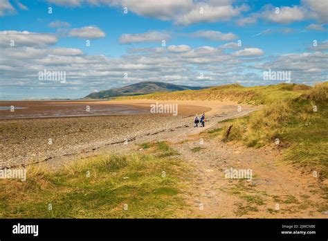 Sandy Beach At Sandscale Haws Nature Reserve Managed By The National Trust With Black Coombe