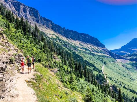 Best Time To Visit Glacier National Park Shebuystravel