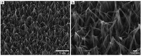 Tio2 Nanostructures That Reduce The Infectivity Of Human Respiratory Viruses Including Sars Cov