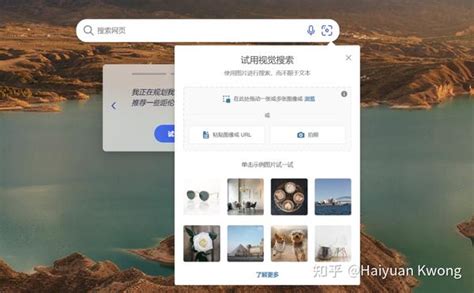 如何利用反向图片搜索查找相似图片 知乎