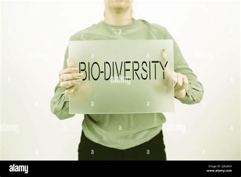 Conceptual Display Bio Diversity Conceptual Photo Variety Of Life