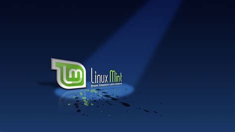 Linux Mint Theme For Windows 10 And 11