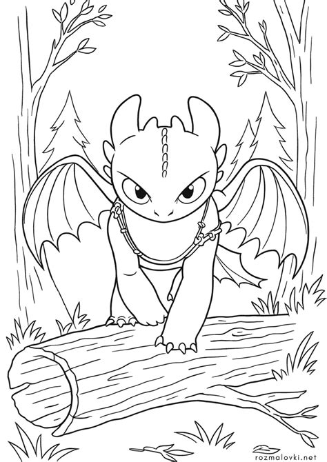 Розмальовки з Драконами роздрукувати безкоштовно А4 скачати розфарбовки Розмальовки