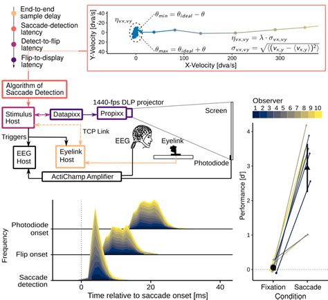 an adaptive algorithm for fast and reliable online saccade detection
